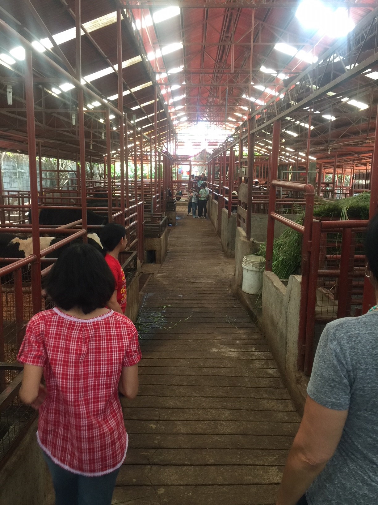 Finding Family in the Philippines